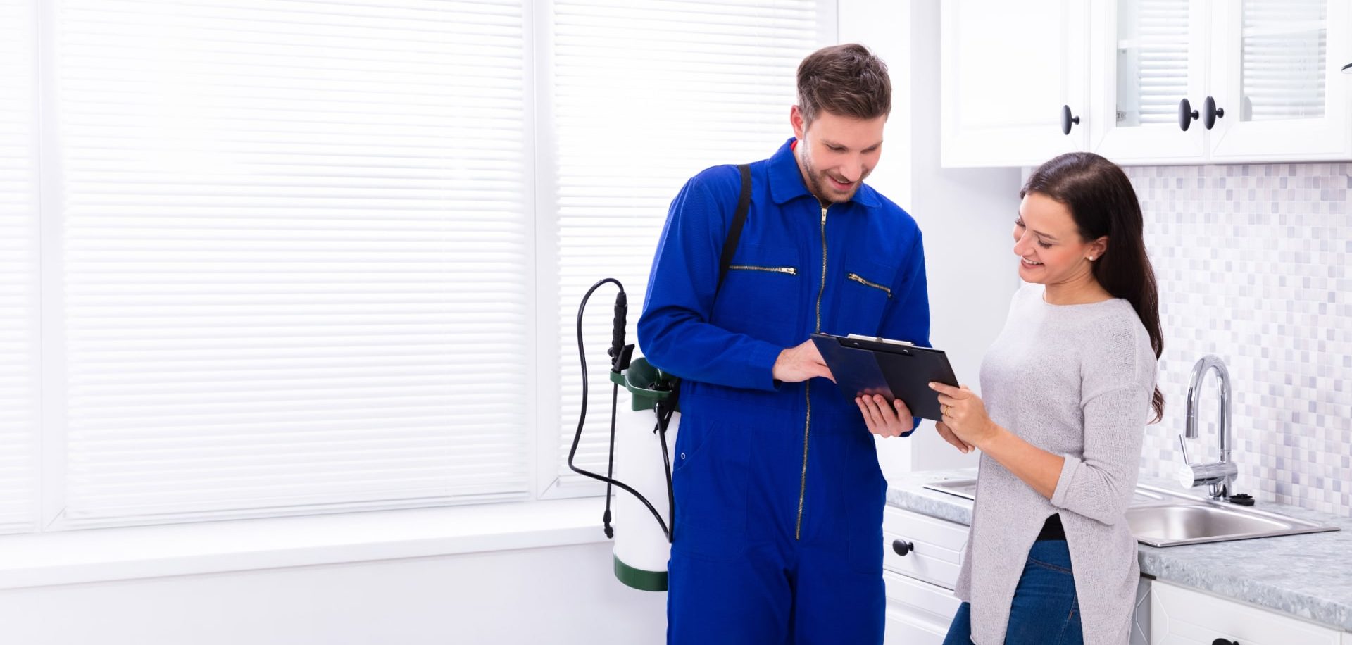 Save your home with expert termite control in Portland, OR